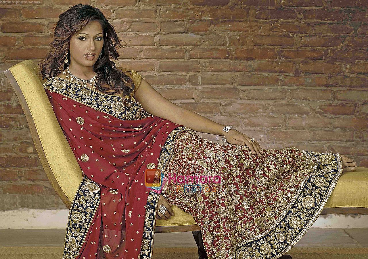 Brinda Parekh Photo Shoot on 7th Sep 2009 / Brinda Parekh - Bollywood Photos